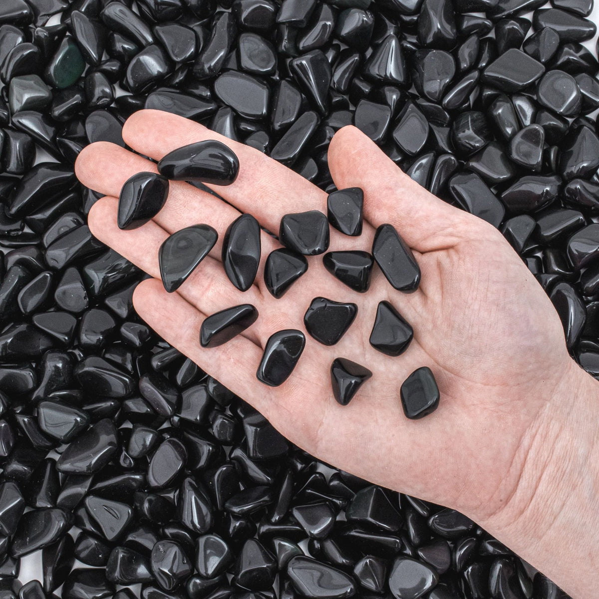 NEW! Small Tumbled Rainbow Obsidian | Tree of Life Gems