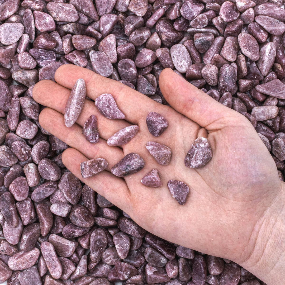NEW! Small Tumbled Rocks Pink Aventurine | Tree of Life Gems