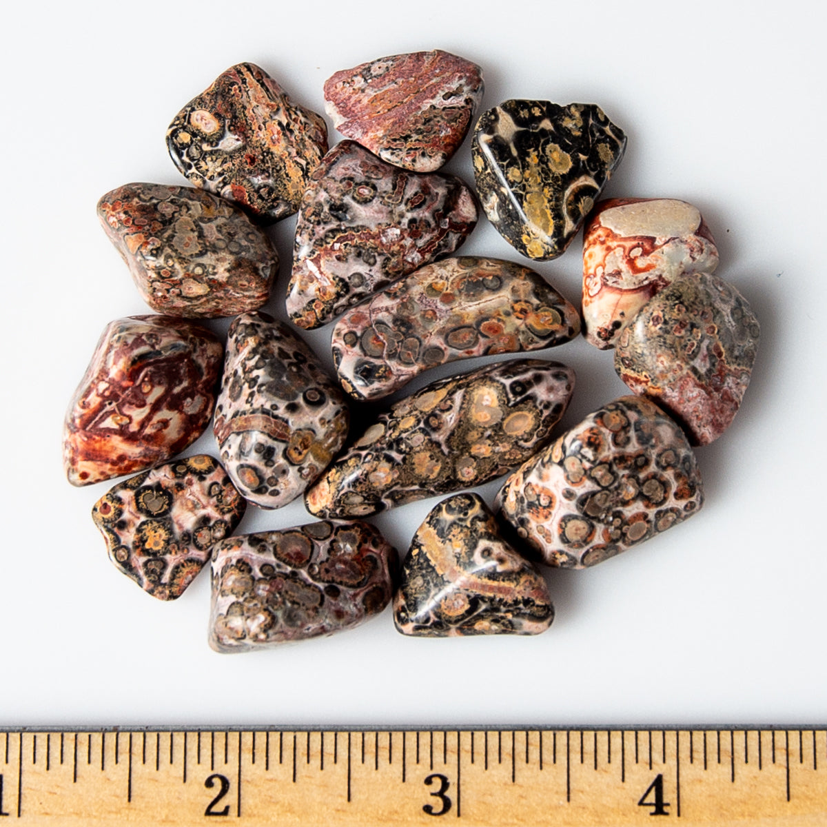 Medium Tumbled Rocks Leopard Skin Jasper | Tree of Life Gems