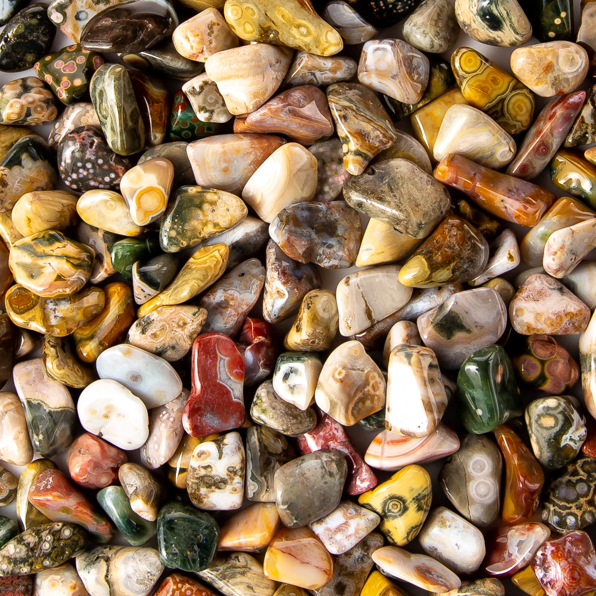 Small Tumbled Rocks Ocean Japer | Tree of Life Gems
